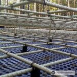 FRP Rebar Surface, Fiber Thread Bar, FRP Thread Rods, Fiber Bar